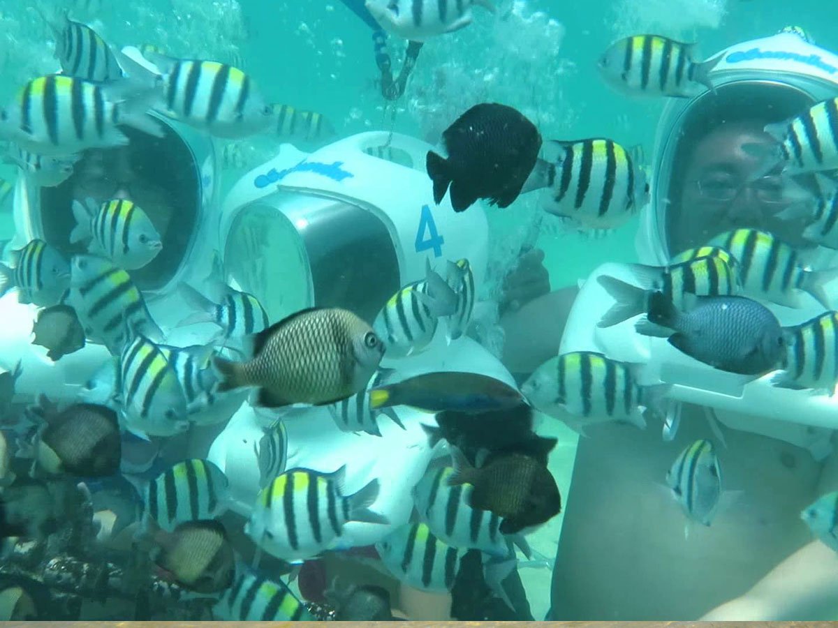 Gallery Bali Star Island is featuring all photos of Bali