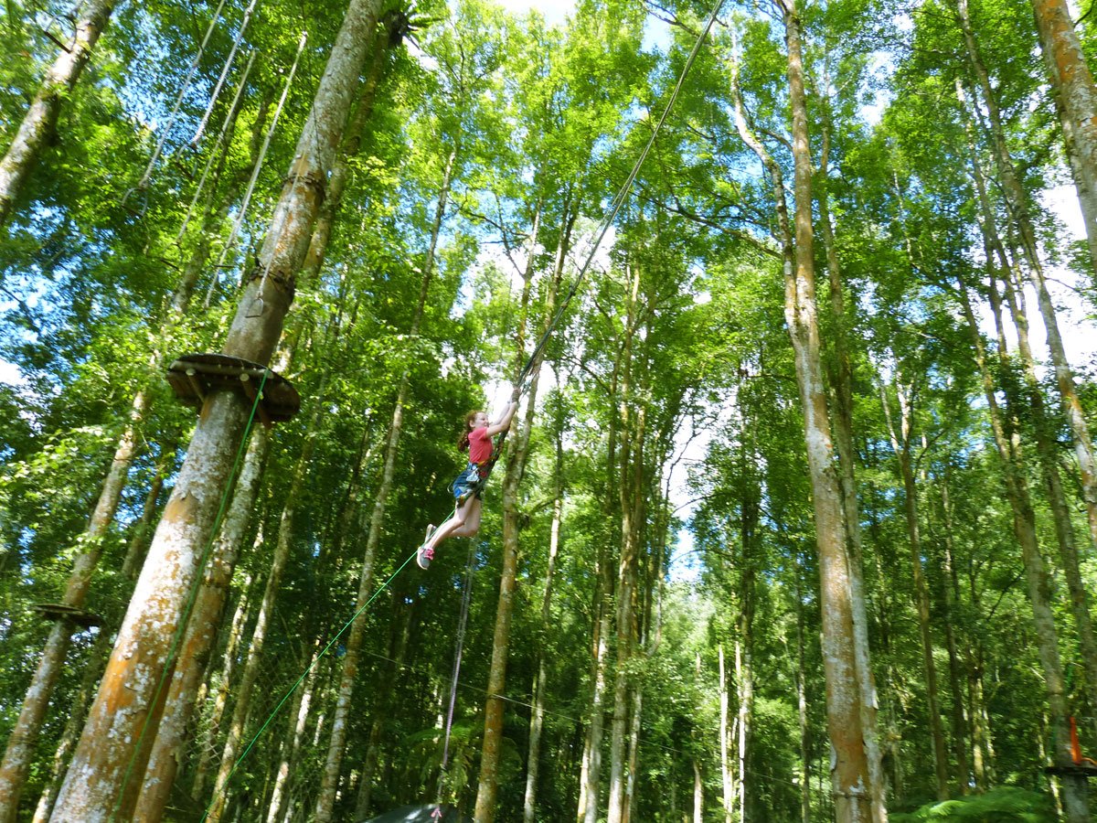 Treetop Adventure in Bali | Bedugul Botanical Garden