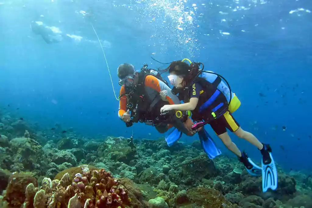 Bali Island Tours and Travel packages Komodo and Borobudur